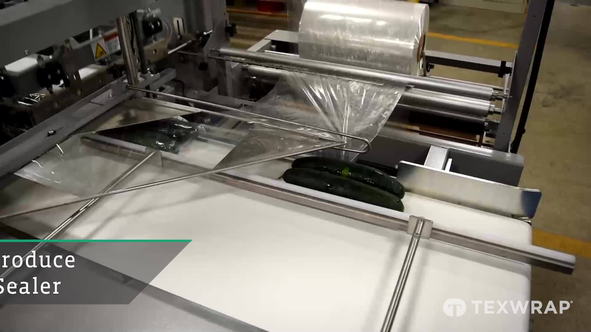 2219 Intermittent Motion L-Seal System | Shrink Wrapping Equipment ...